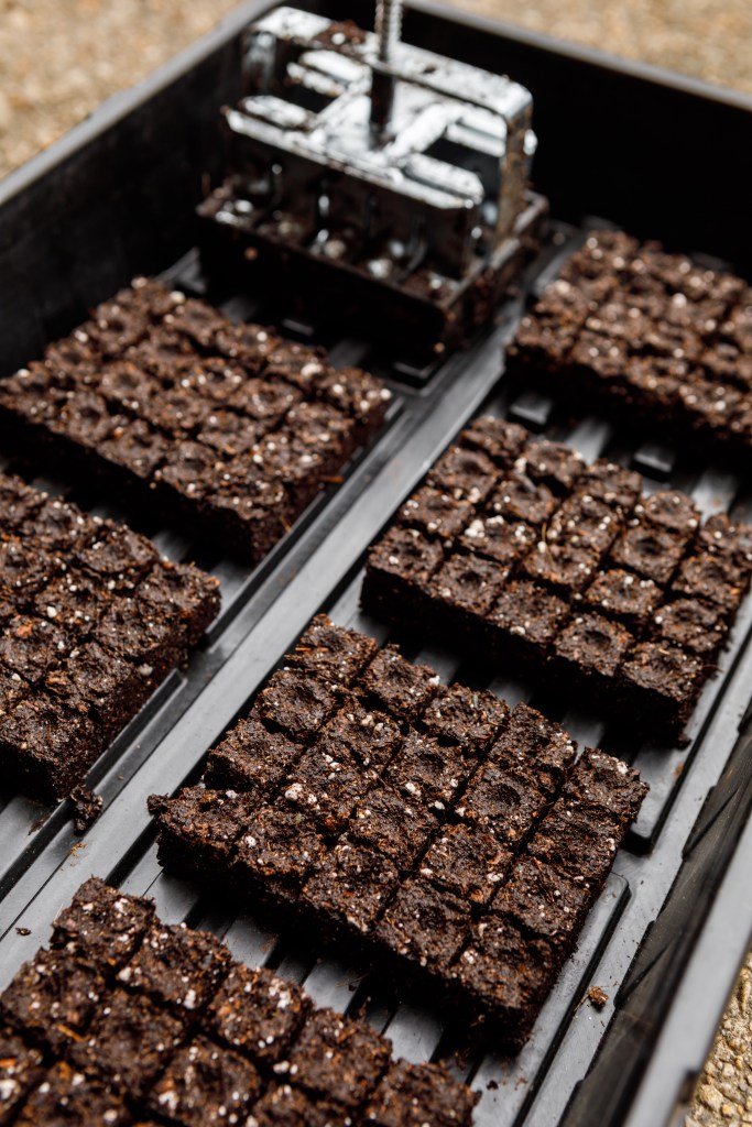 Soil Blocking 101: What It Is and How to Start